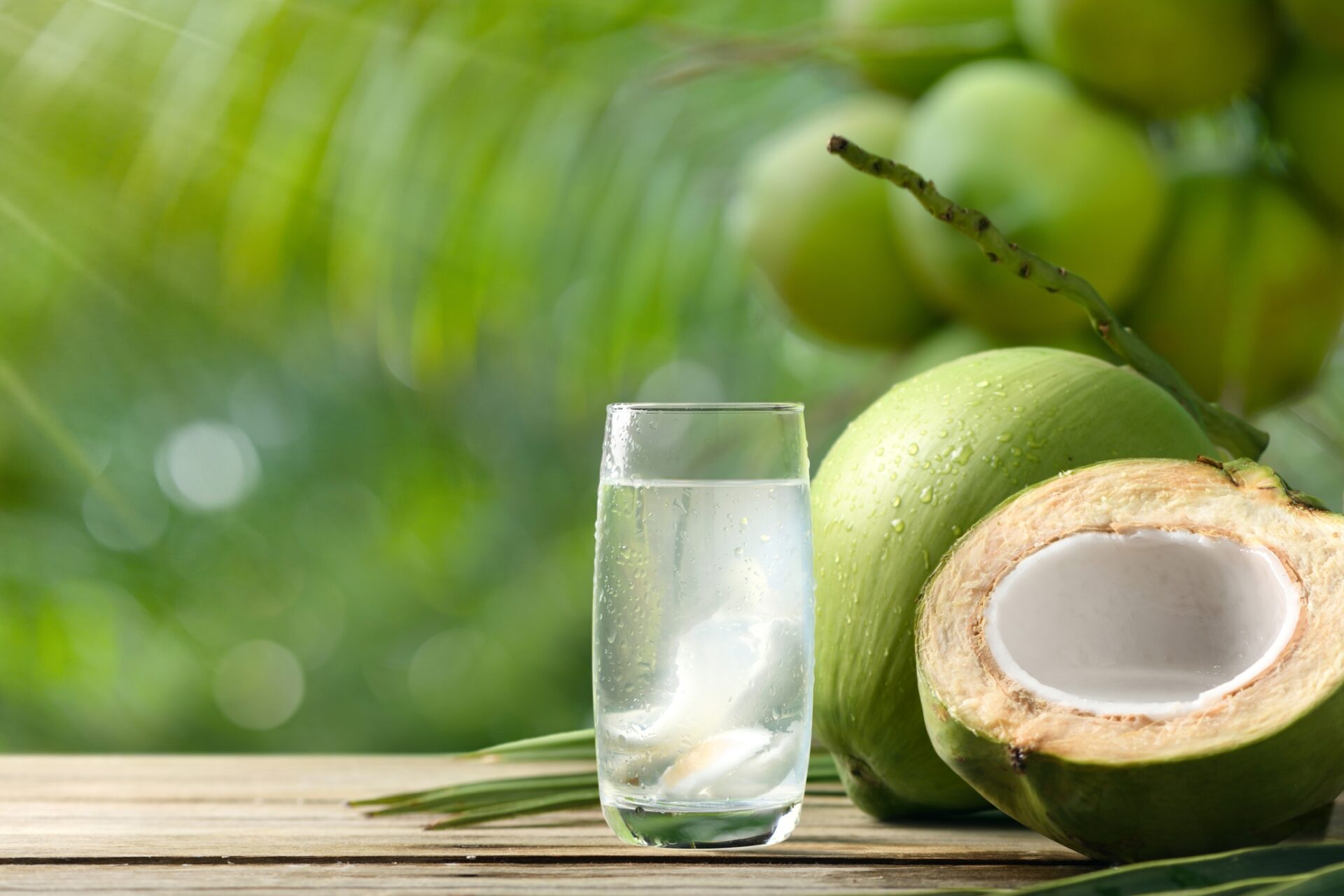 Sip the tropical splendor - Ceylon Onast